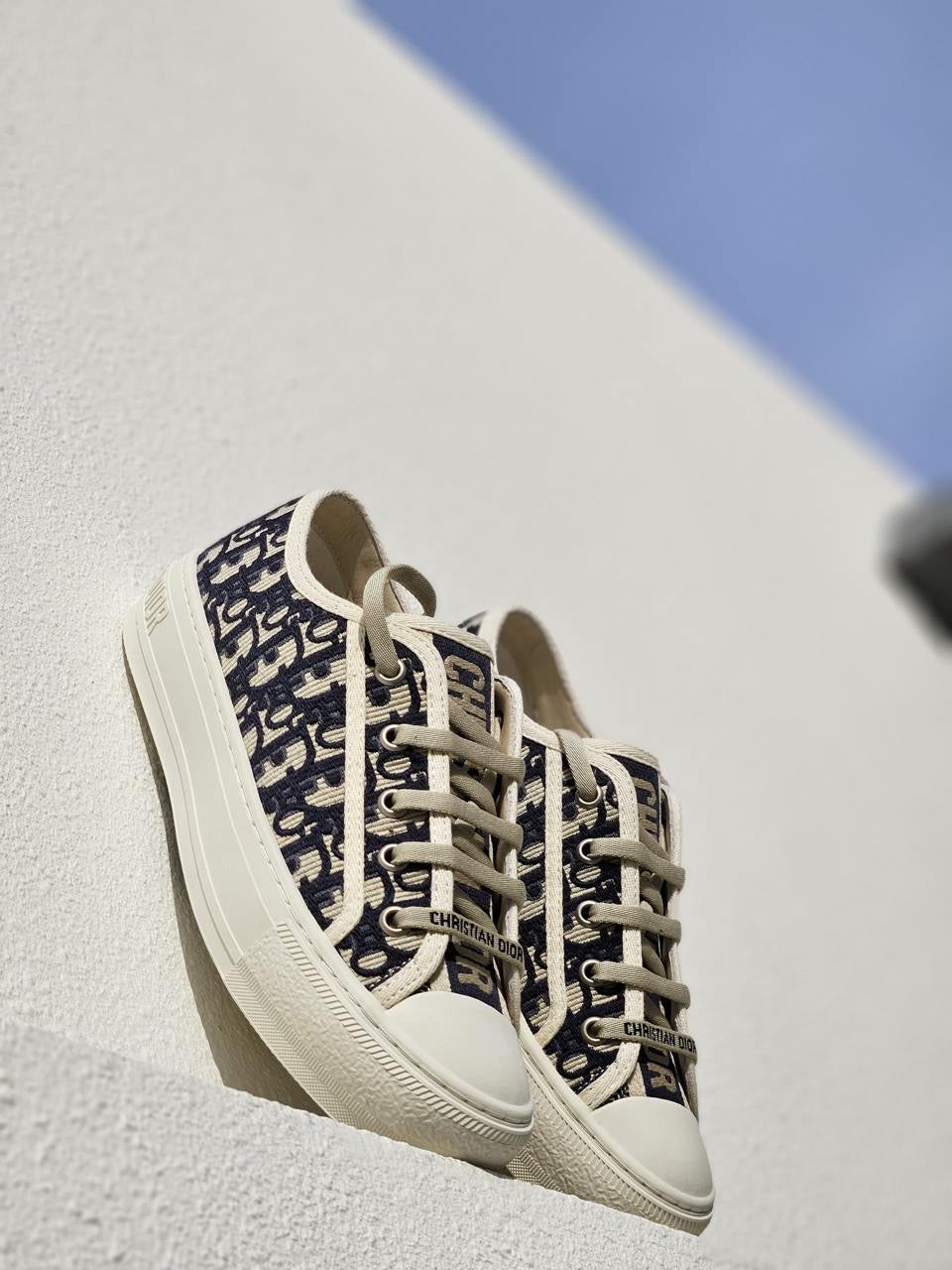Dior Sneakers – Whatever.uae