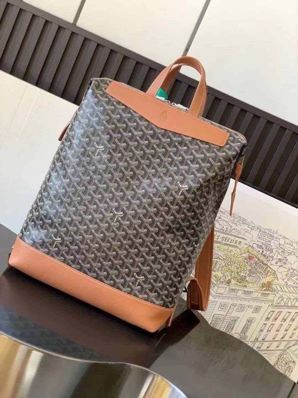 Goyard Backpack – Whatever.uae